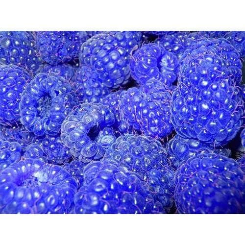 Blue Razzberry E-Liquid — E-Liquid.com